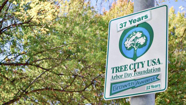 DNR announces new record for Tree City USA communities | Gladwin County ...