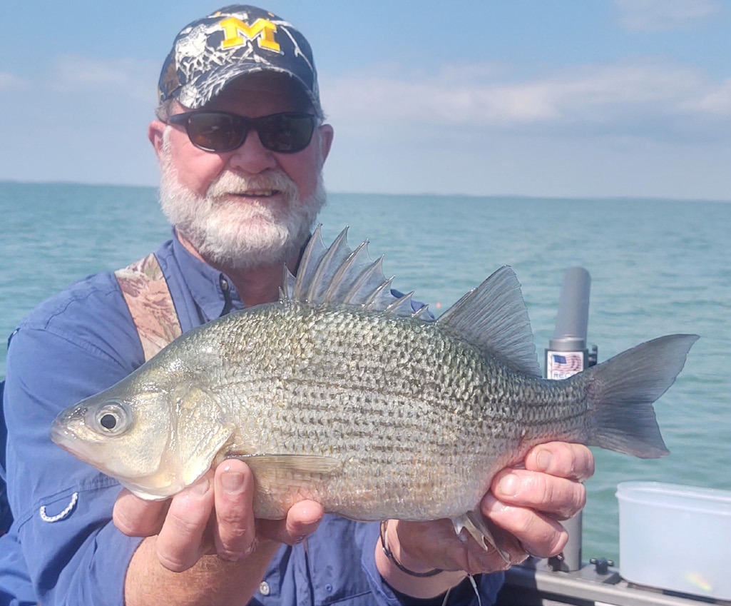 World champ reels in state-record white perch | Gladwin County Record ...