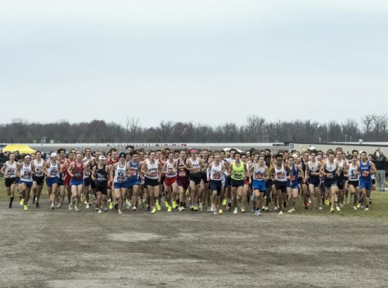 Athletes run in 2022 State Cross Country Finals | Gladwin County Record ...