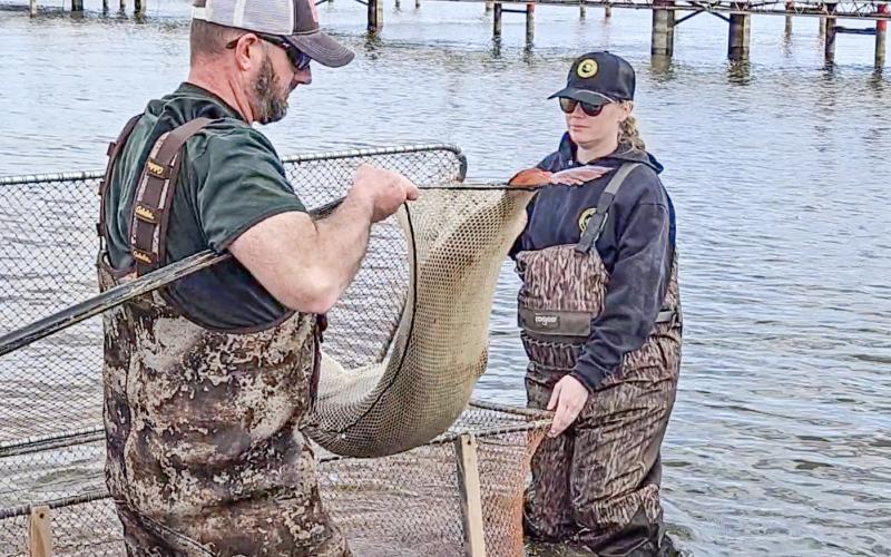 Acoustic telemetry project shows surprising muskie movements | Gladwin ...