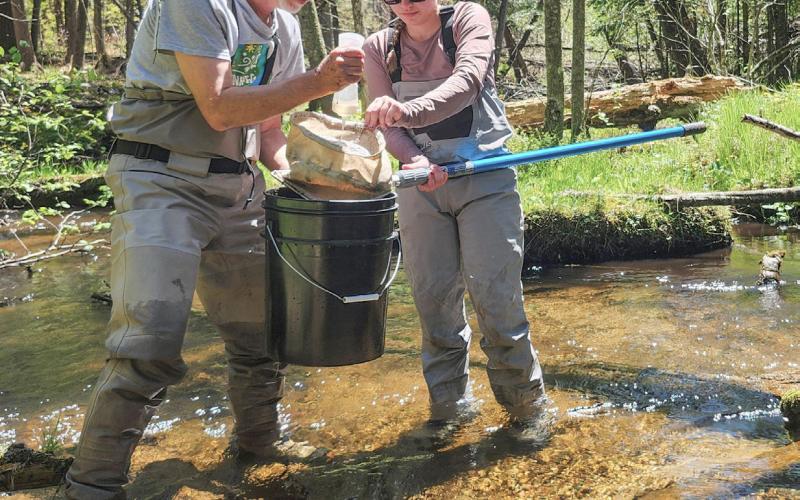 Citizen scientists test Cedar River water quality | Gladwin County ...